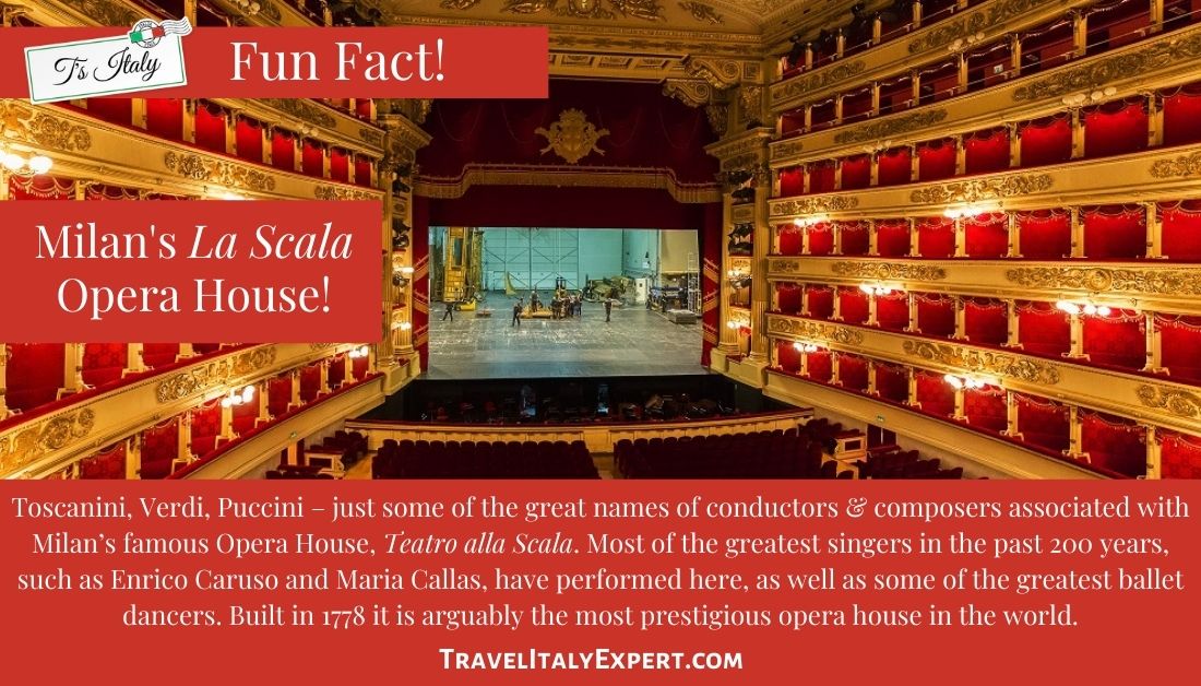 Fun Facts - T's Italy