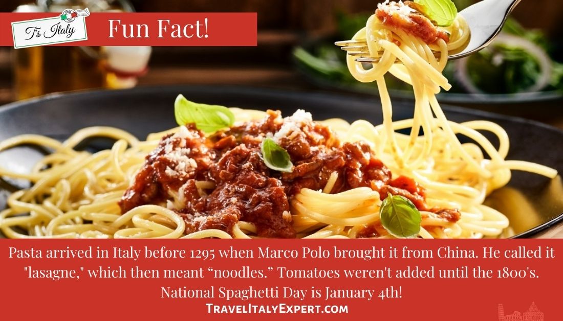 Fun Facts - T's Italy